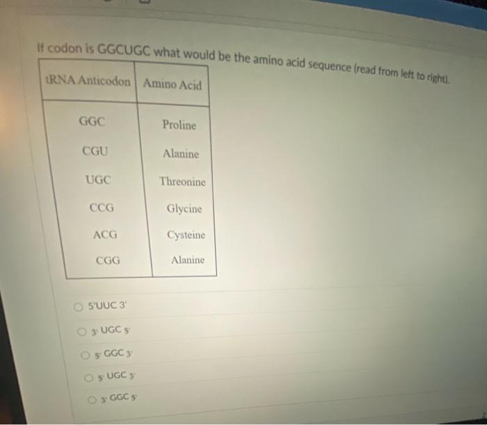 Solved if codon is GGCUGC what would be the amino acid | Chegg.com