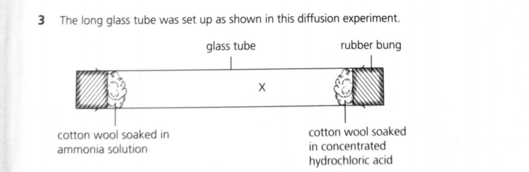 Solved 3 The long glass tube was set up as shown in this | Chegg.com
