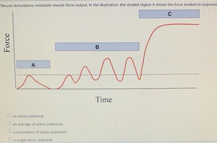 Solved On a Force vs Displacement graph, hysteresis | Chegg.com