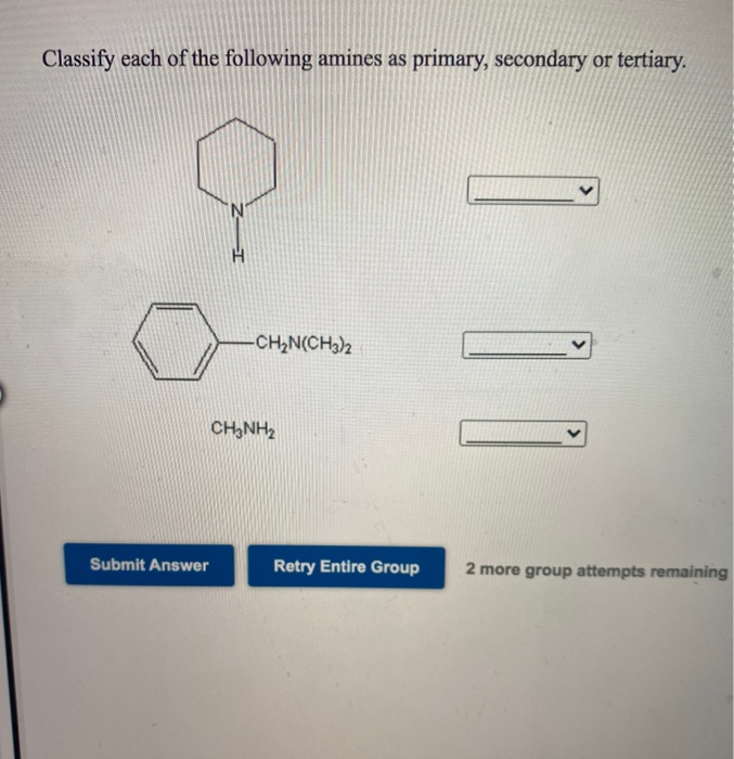 Solved Classify each of the following amines as primary, | Chegg.com