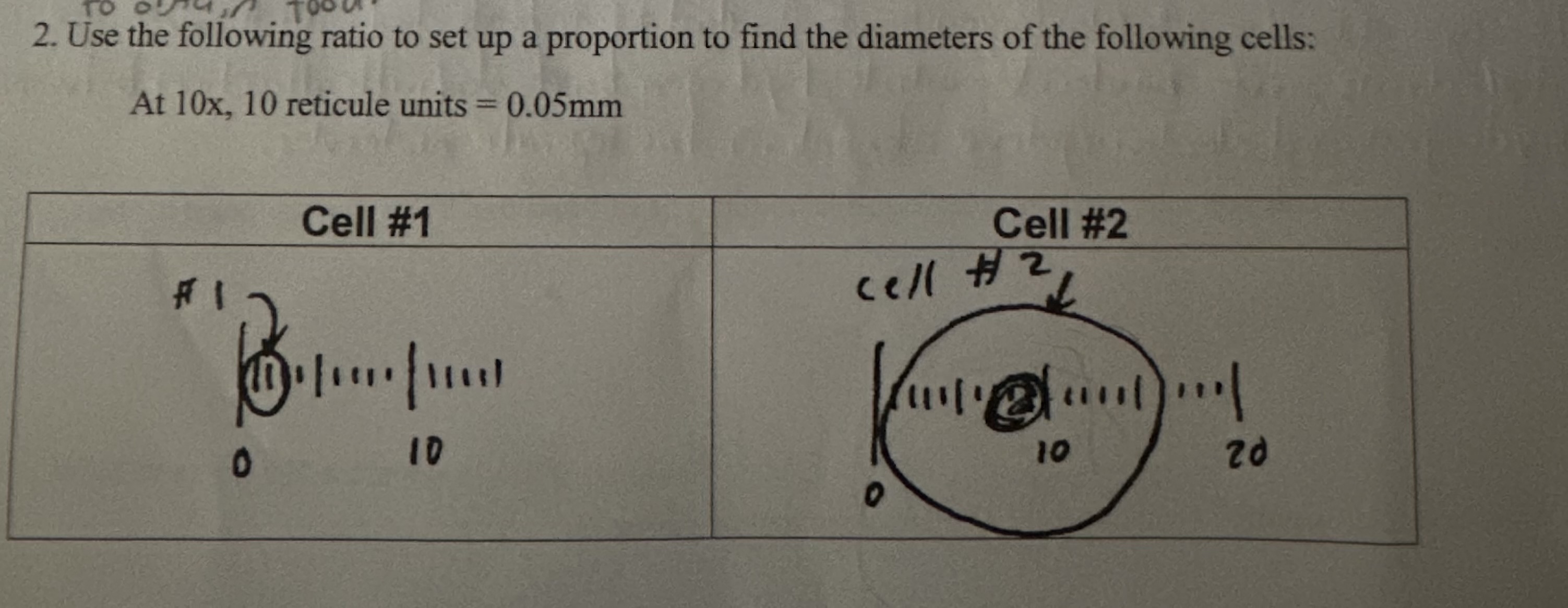Solved Use the following ratio to set up a proportion to | Chegg.com