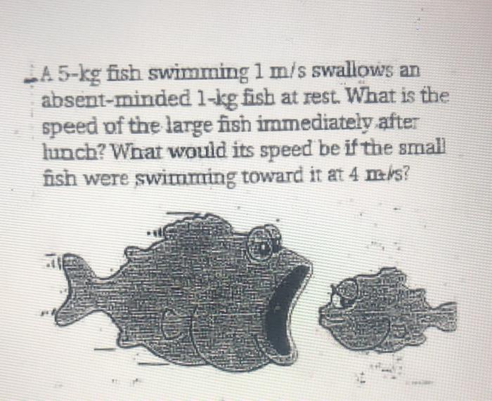 Solved - A 5-kg fish swimming 1 m/s swallows an | Chegg.com