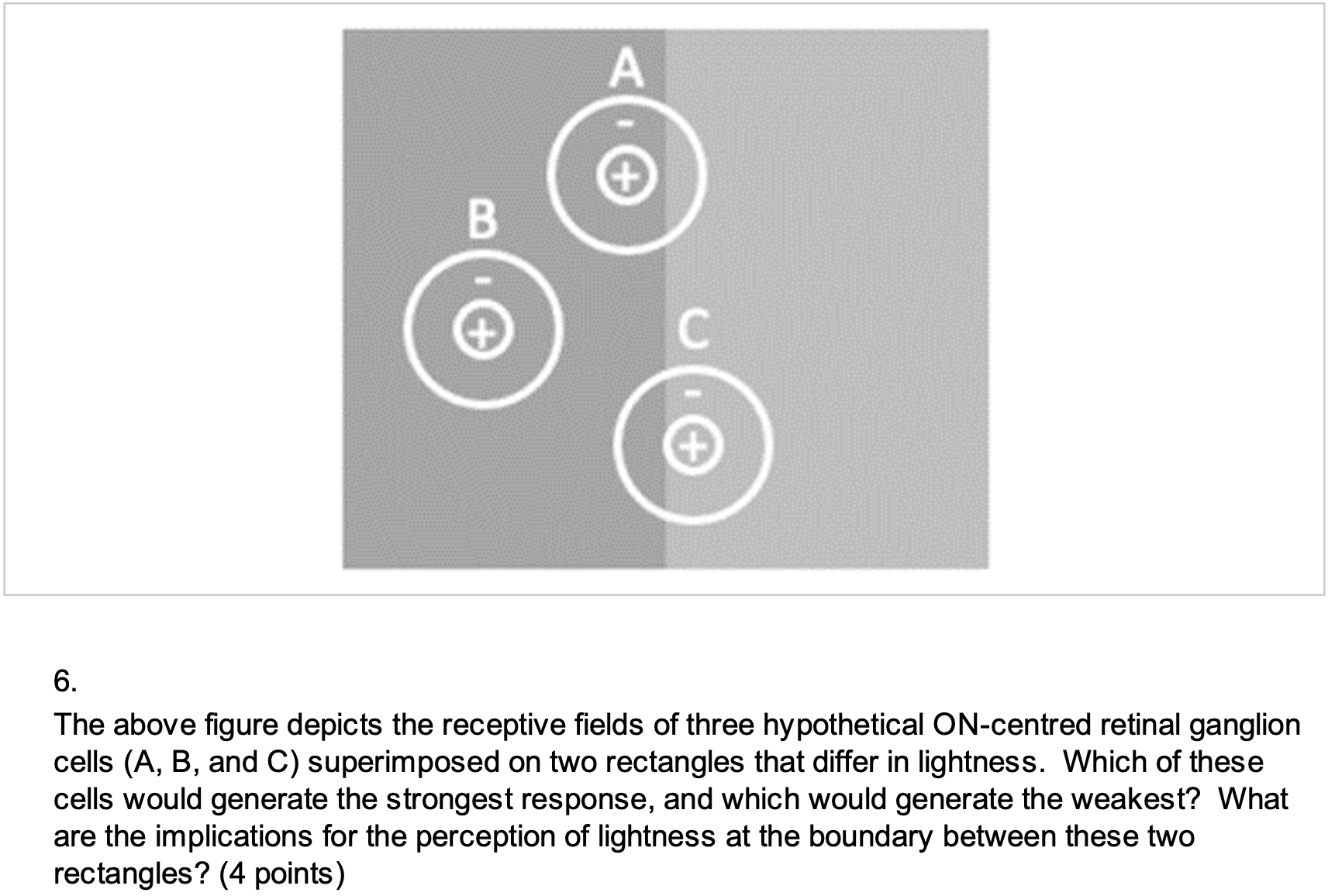 Solved The above figure depicts the receptive fields of | Chegg.com