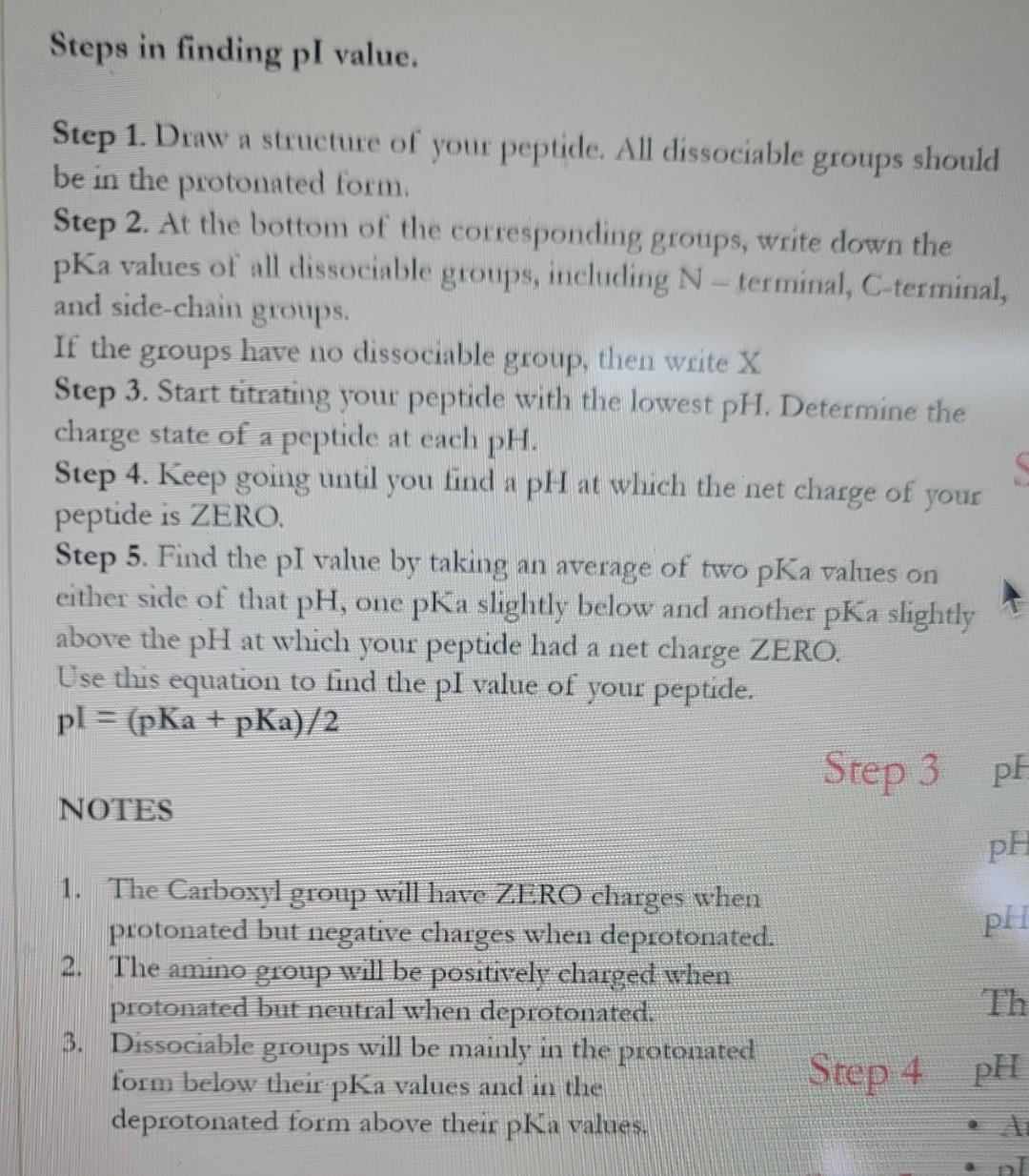 Solved Steps in finding pI value. Step 1. Draw a structure | Chegg.com