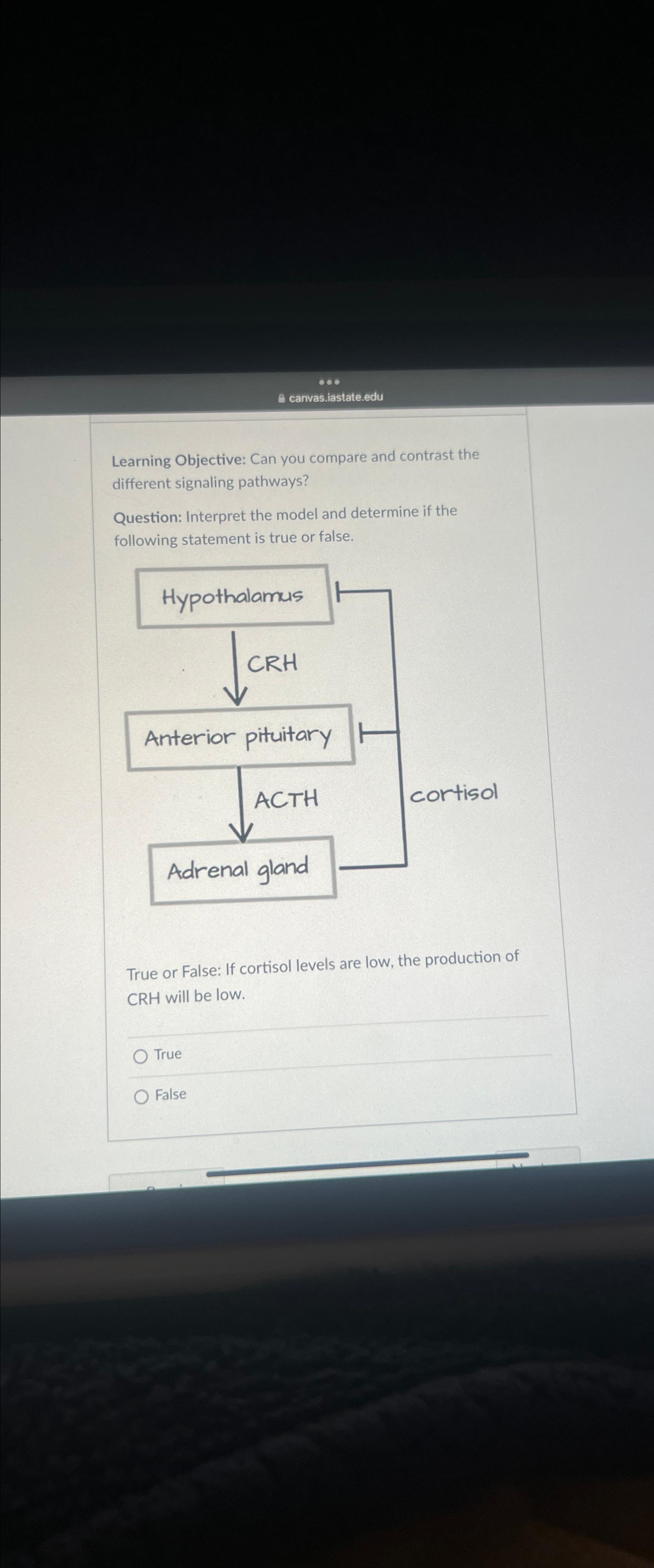 Solved Learning Objective: Can you compare and contrast the | Chegg.com