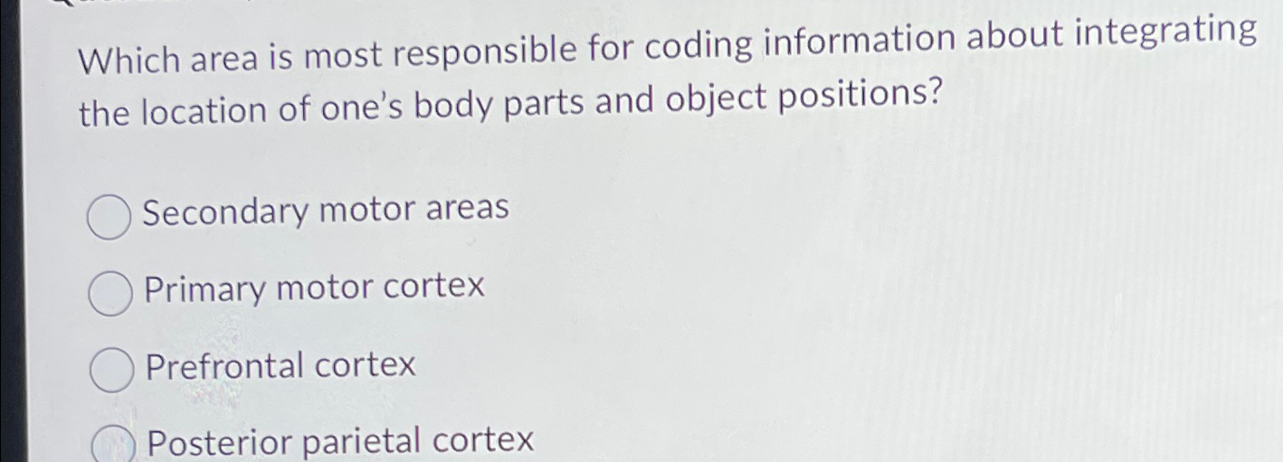 Solved Which area is most responsible for coding information | Chegg.com