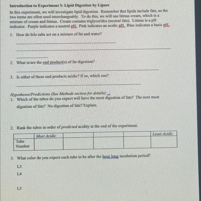 Solved Introduction to Experiment 2: Protein Digestion by | Chegg.com