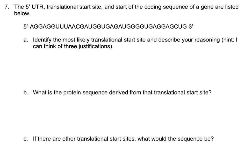 Solved The 5' ﻿UTR, translational start site, and start of | Chegg.com