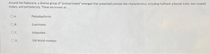 Solved Around the Paleocene, a diverse group of | Chegg.com
