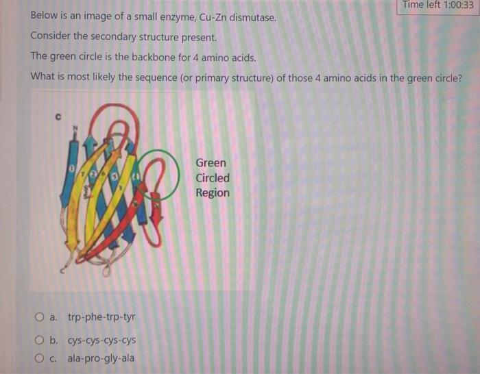 Solved Below is an image of a small enzyme, Cu-Zn dismutase. | Chegg.com