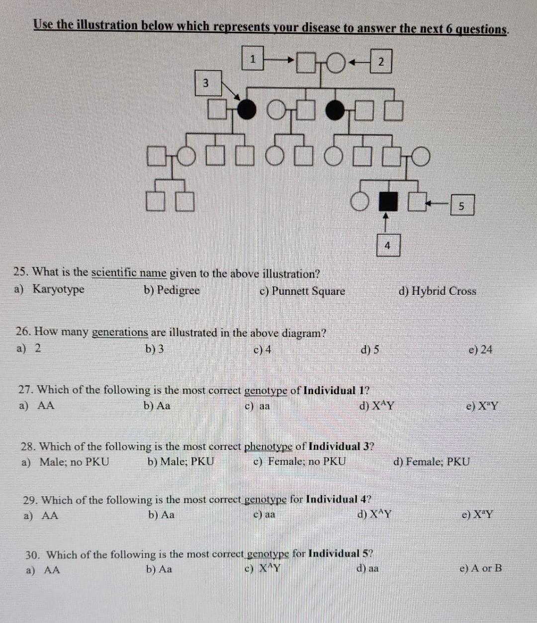 Solved Question 26? Question 27? is the correct answer - | Chegg.com Solved Question 26? Question 27? is the correct answer - | Chegg.com