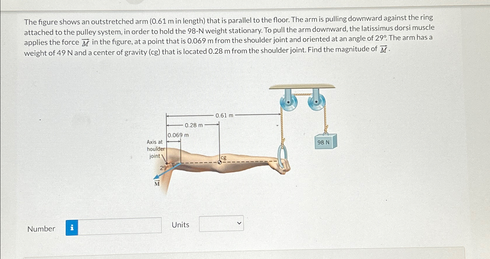 The figure shows an outstretched arm ( 0.61m ﻿in | Chegg.com