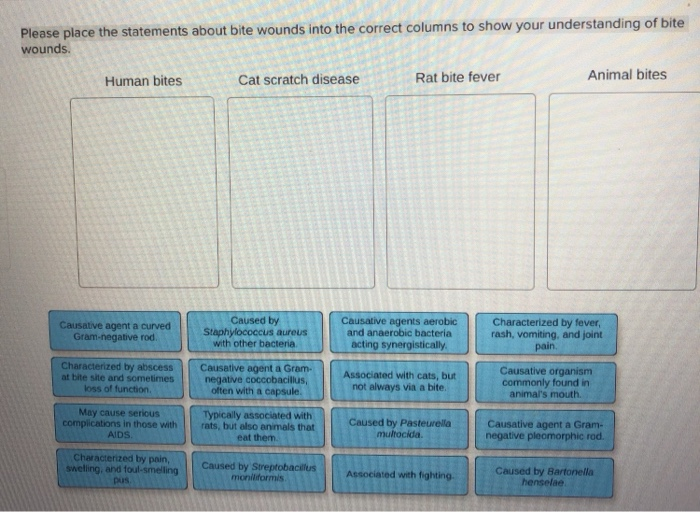 Solved Please place the statements about bite wounds into | Chegg.com
