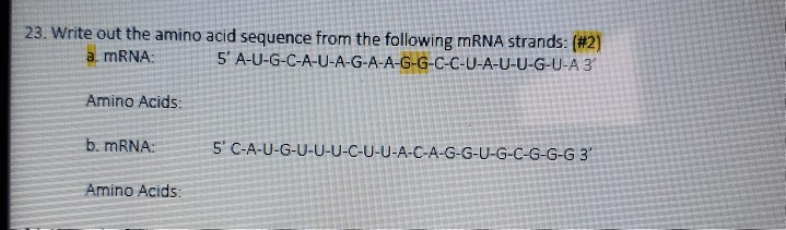Solved 7. Write out the base sequence for a DNA strand | Chegg.com