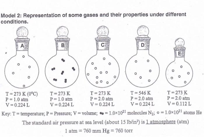 Model 2: Representation of some gases and their | Chegg.com