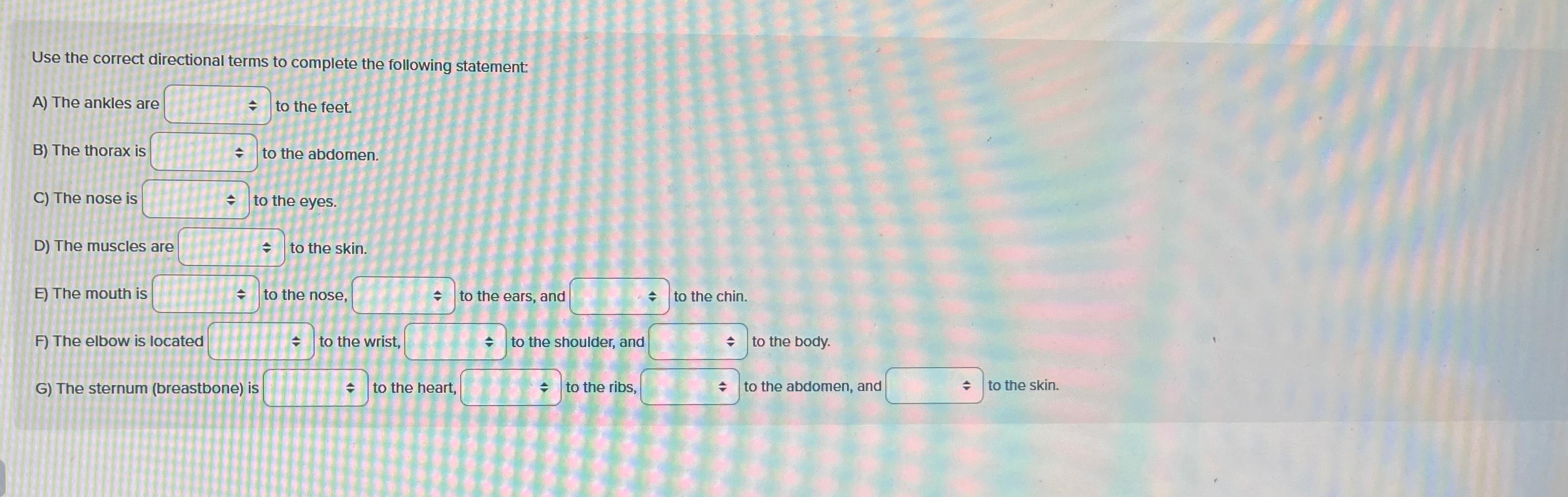Solved Use the correct directional terms to complete the | Chegg.com