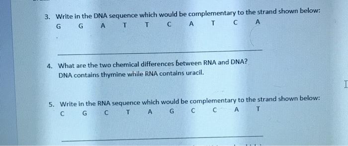 Solved 3. Write in the DNA sequence which would be | Chegg.com