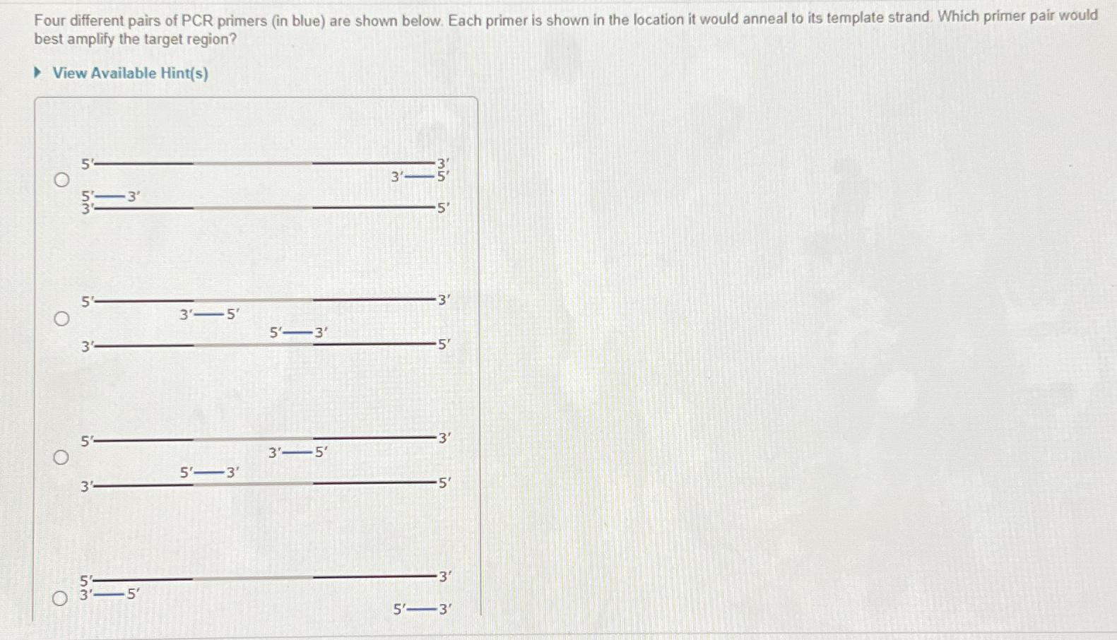 Solved Four different pairs of PCR primers (in blue) ﻿are | Chegg.com