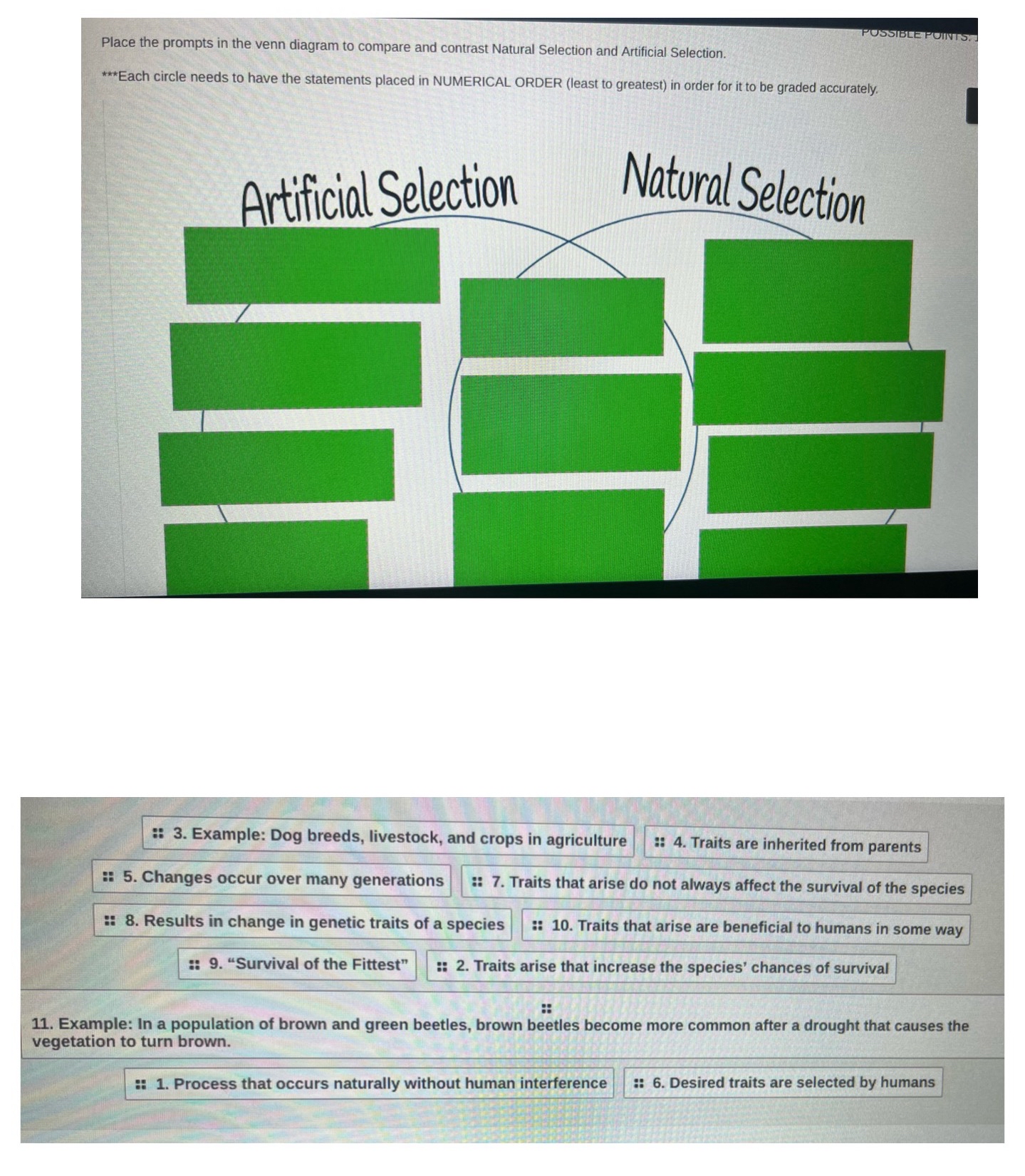 Solved Place the prompts in the venn diagram to compare and | Chegg.com