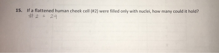Solved 15. If a flattened human cheek cell (#2) were filled | Chegg.com