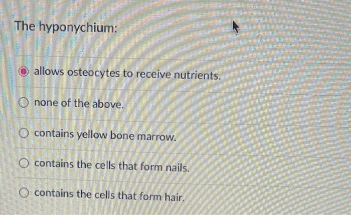 Solved The hyponychium: allows osteocytes to receive | Chegg.com