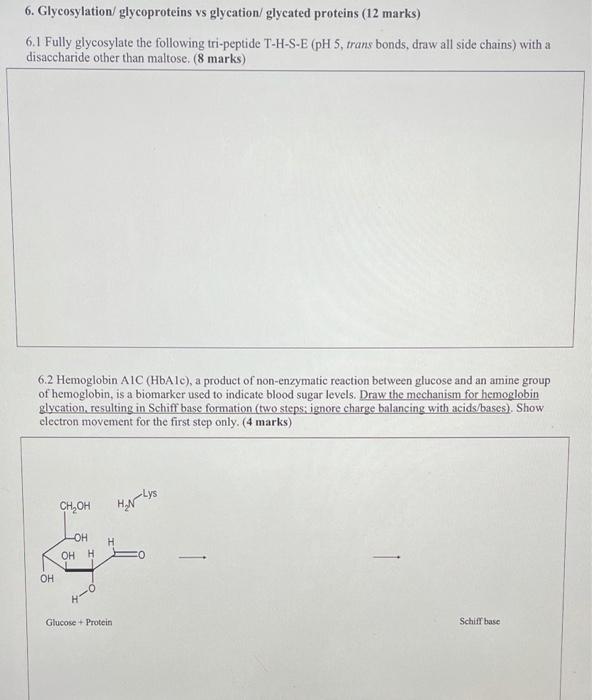 Solved 6. Glycosylation/ glycoproteins vs glycation/ | Chegg.com