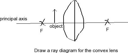 Solved Draw a Ray diagram for the convex mirror | Chegg.com
