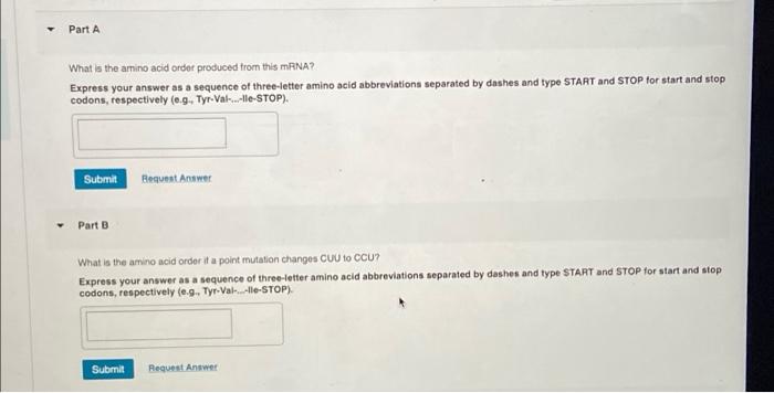 Solved Consider the following segment of mRNA produced by | Chegg.com