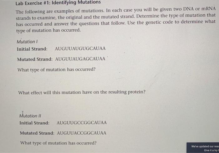 Solved Lab Exercise #1: Identifying Mutations The following | Chegg.com