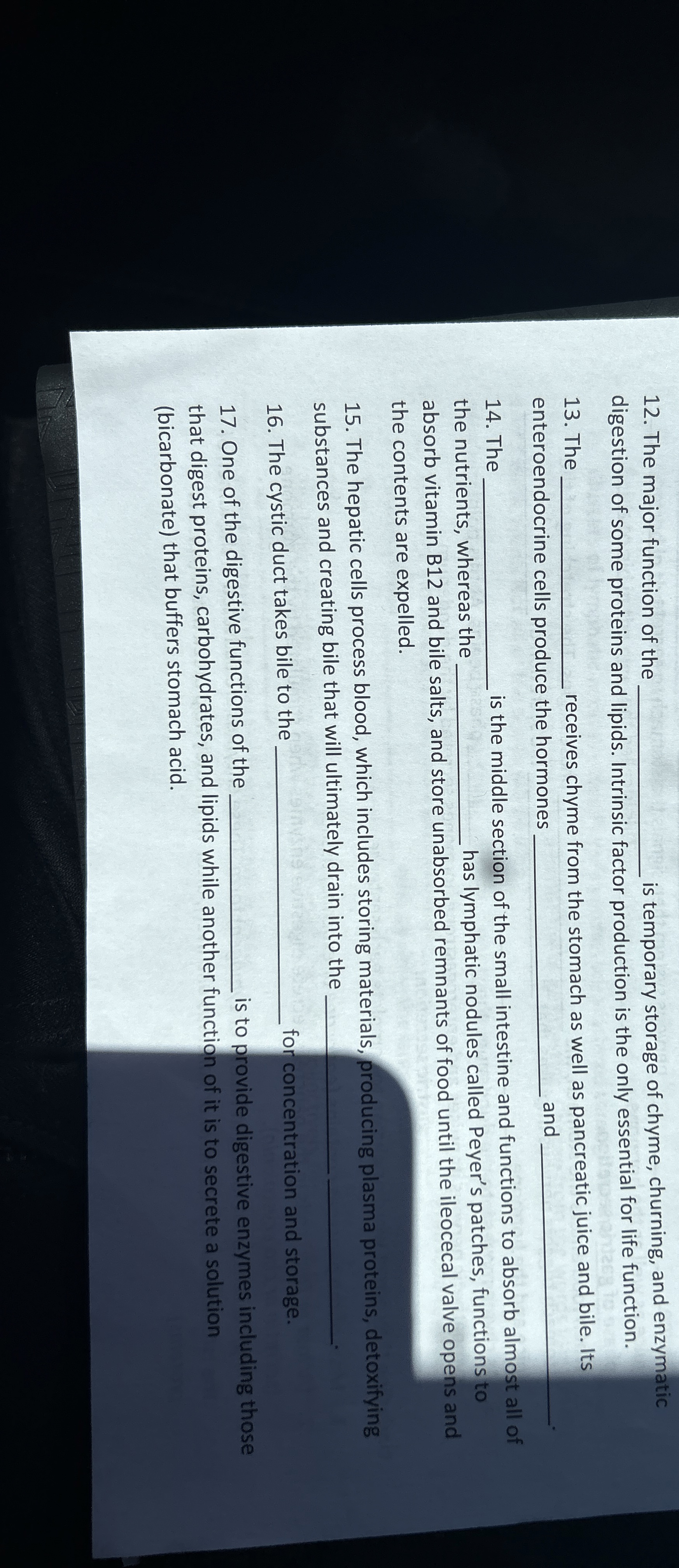 Solved The major function of the q, ﻿is temporary storage of | Chegg.com