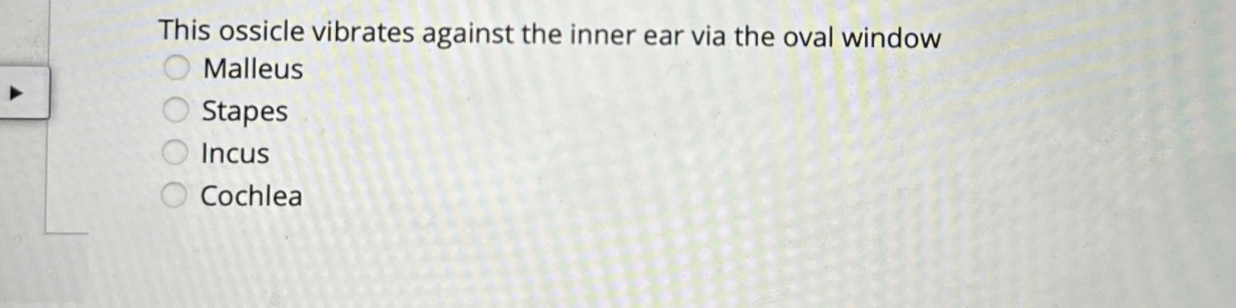 Solved This ossicle vibrates against the inner ear via the | Chegg.com