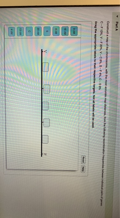 Solved Part A Construct a map of the chromosome, with the | Chegg.com