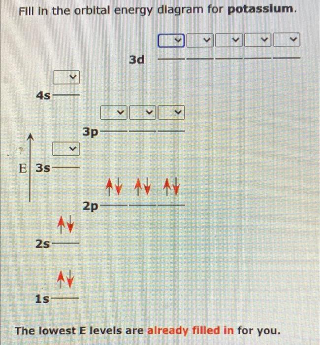 Solved Fill in the orbital energy diagram for potassium.