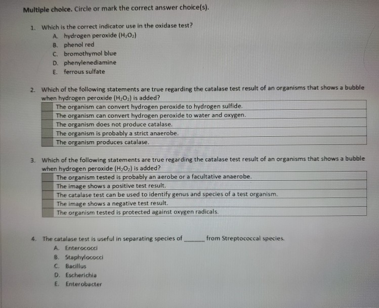 Solved Multiple choice. Circle or mark the correct answer | Chegg.com