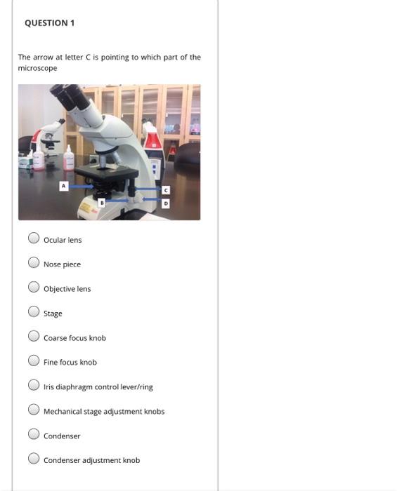 Solved QUESTION 1 The arrow at letter C is pointing to which | Chegg.com