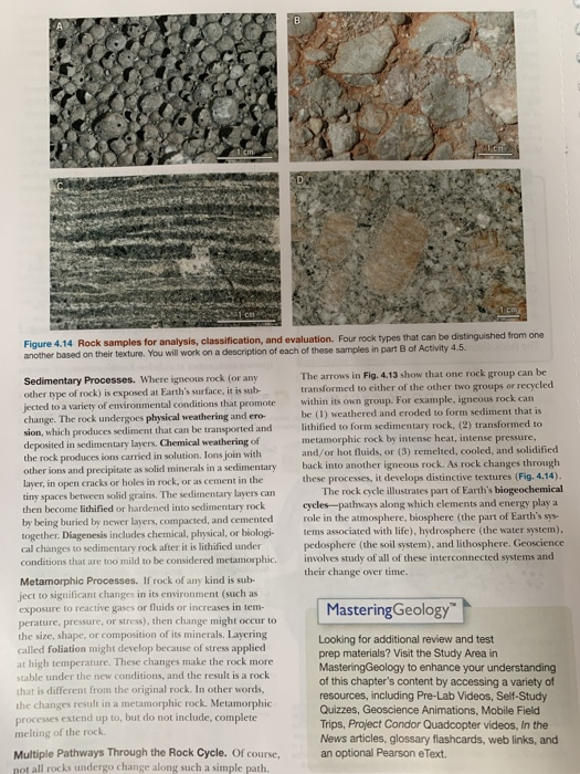 Solved 1 cm Figure 4.14 Rock samples for analysis, | Chegg.com