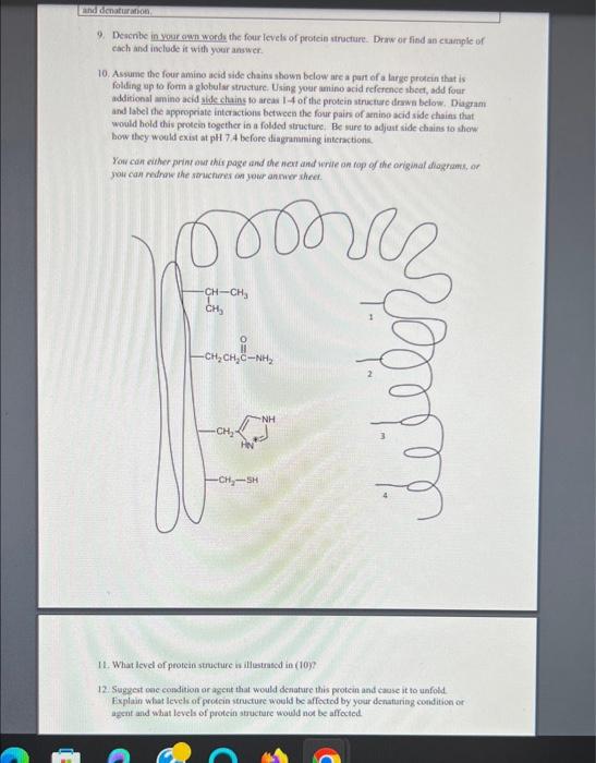Solved 9. Descnbe in your awn words the four levels of | Chegg.com