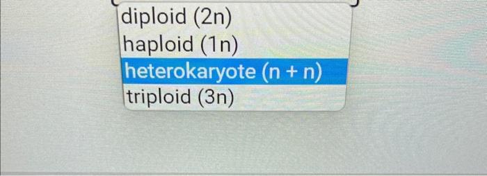 Solved 2. Indicate which ploidy goes with each stage in | Chegg.com