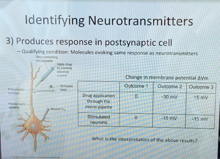 Solved Identifying Neurotransmitters 3) Produces response in | Chegg.com