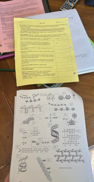 Solved Due: Lab 1HW Sp23 Lab: Microbiology is a course about | Chegg.com Solved Due: Lab 1HW Sp23 Lab: Microbiology is a course about | Chegg.com