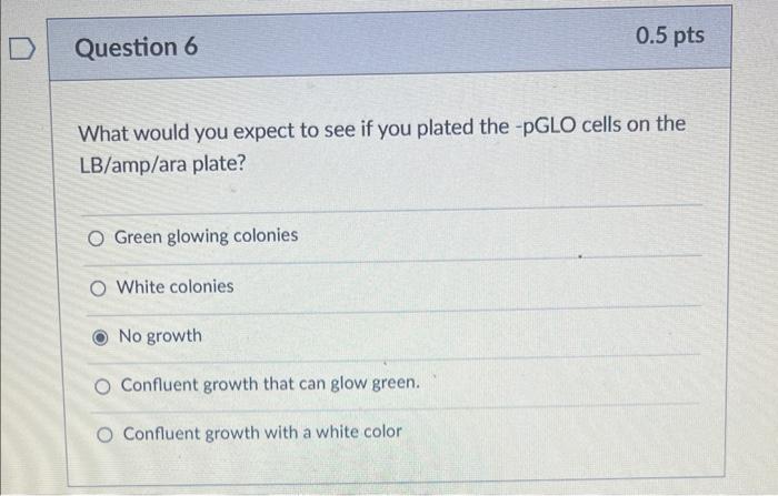 Solved What would you expect to see if you plated the +pGLO | Chegg.com