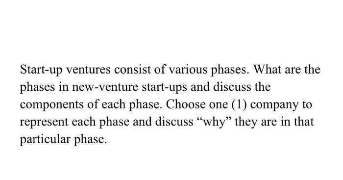 Start-up ventures consist of various phases. What are | Chegg.com