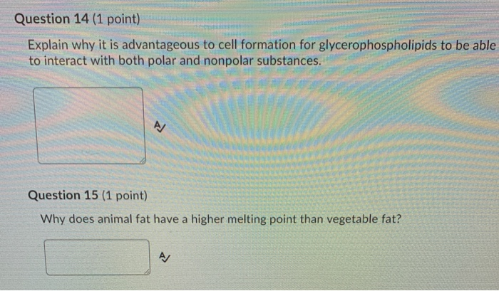 Solved Question 14 (1 point) Explain why it is advantageous | Chegg.com