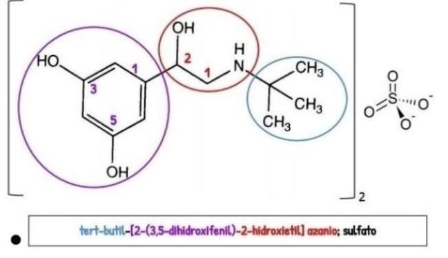 Solved Recognize and indicate in the figure, the functional | Chegg.com