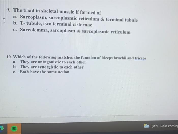 Solved 9. The triad in skeletal muscle if formed of a. | Chegg.com