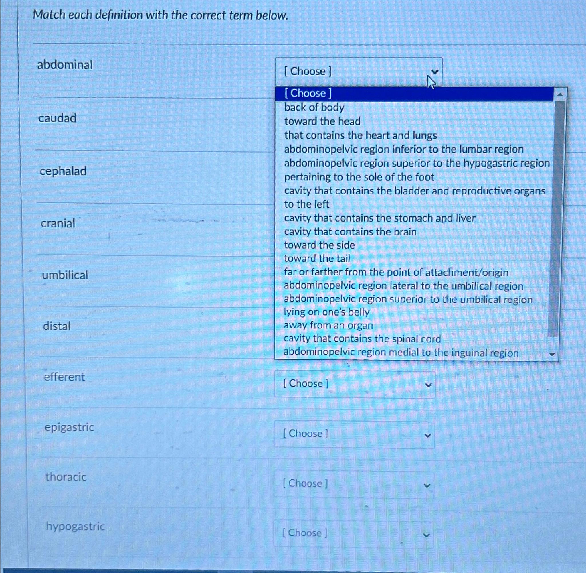 Solved Match each definition with the correct term | Chegg.com
