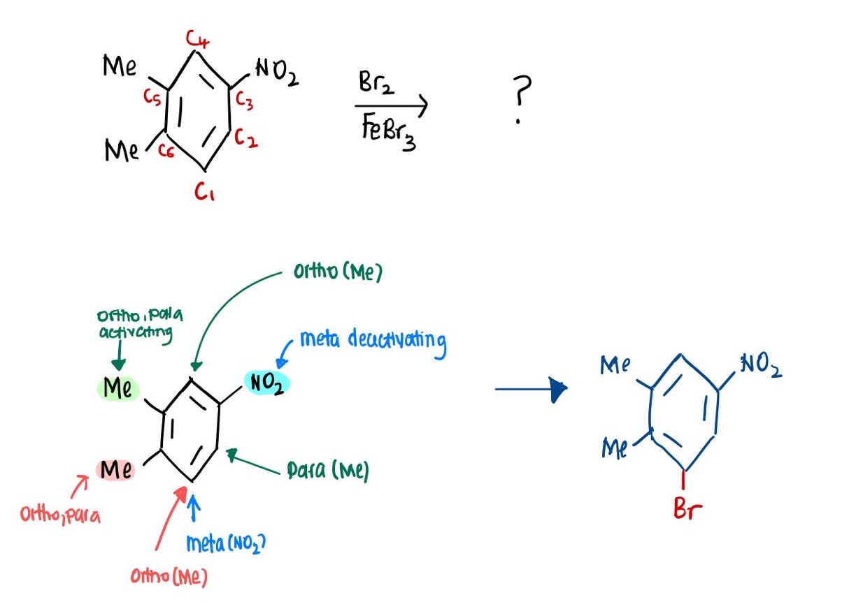 Solved What is the regioselectivity here when this | Chegg.com