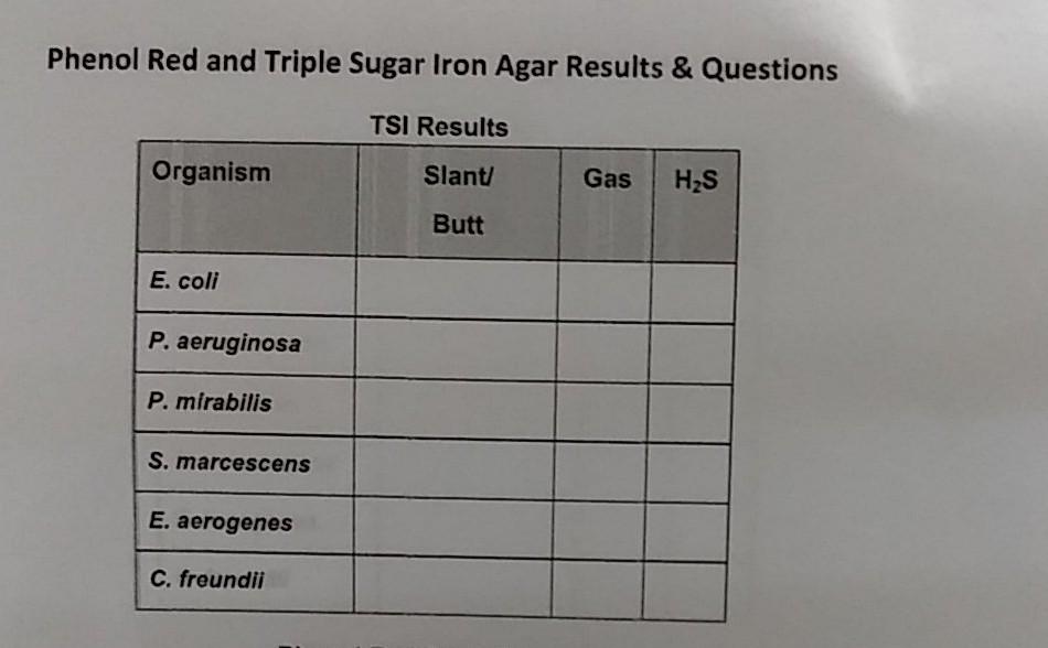 Solved Phenol Red and Triple Sugar Iron Agar Results & | Chegg.com