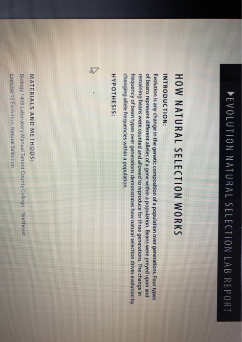 Solved EVOLUTION NATURAL SELECTION LAB REPORT HOW NATURAL | Chegg.com