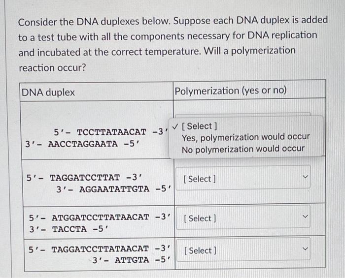 Solved Consider the DNA duplexes below. Suppose each DNA | Chegg.com